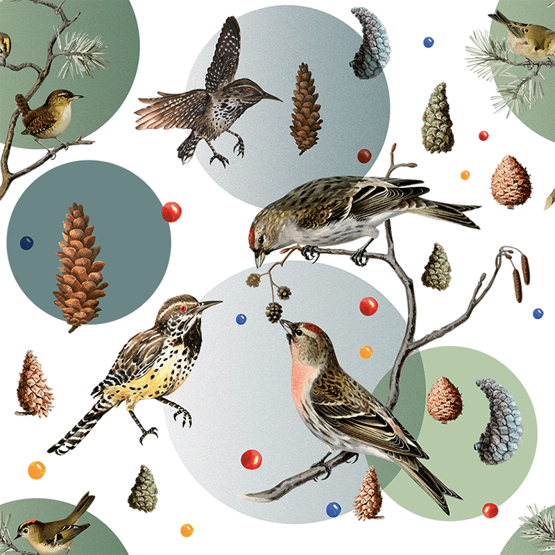 Globes of Nordic Birds - Custom Printed Design Wallpaper